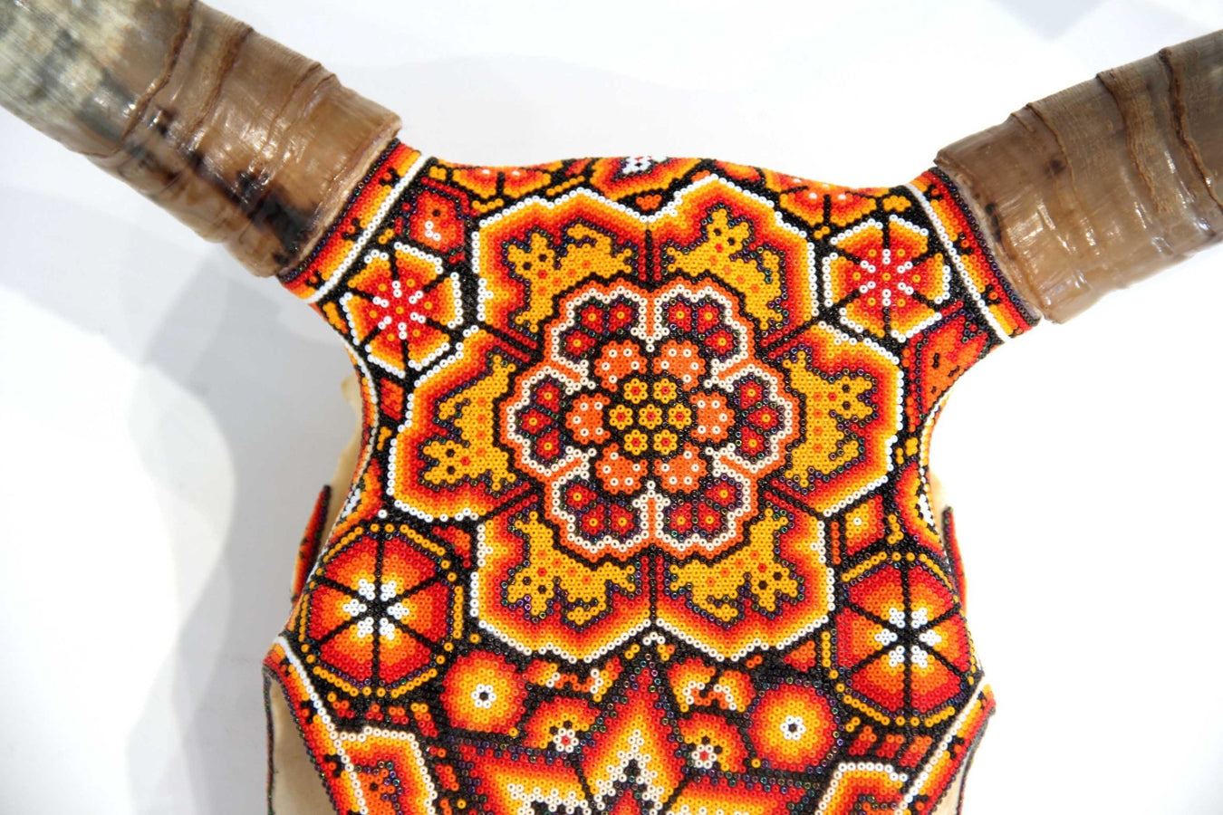 Cráneo de vaca Arte Huichol - Xurawe Tatewari - Arte Huichol - Marakame