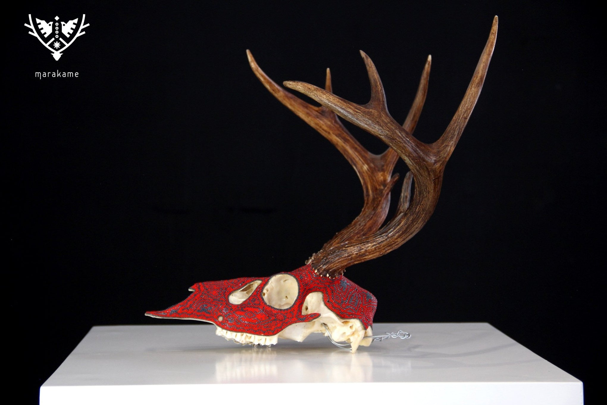Cráneo de Venado Huichol - Xawe Tatewari - Arte Marakame