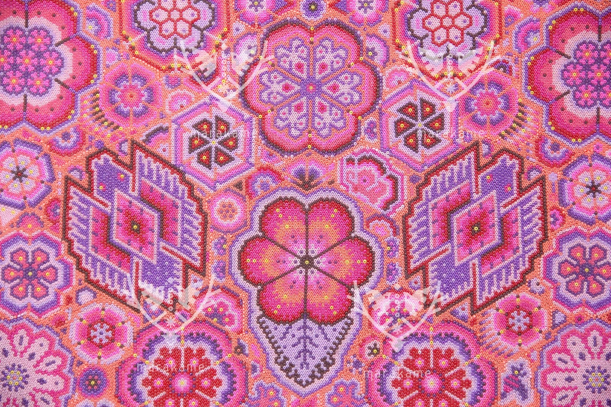 Nierikas de Chaquira - Arte Huichol - Marakame